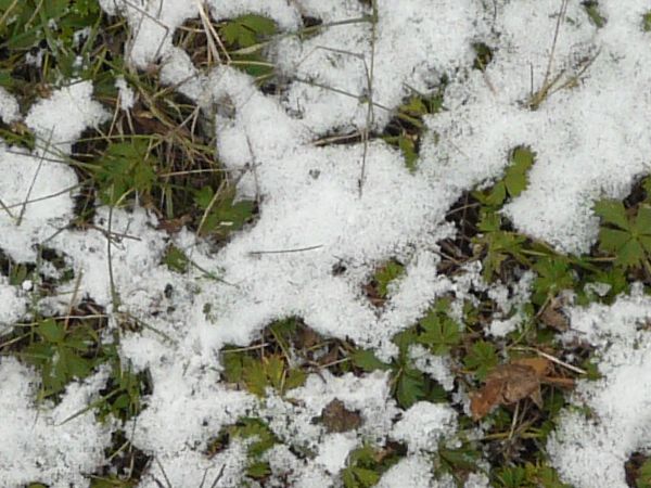 frozen ground texture 0010 - Texturelib